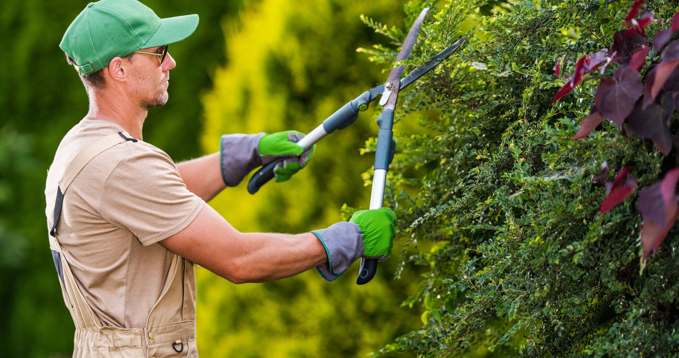 Traumberuf im Grünen | Alles zur Garten- und Landschaftsbau Ausbildung - EI Group Deutschland
